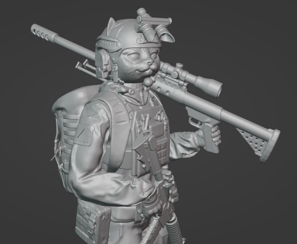Cat girl sniper ukrainian modern warrior ready to print 3D model 3D ...
