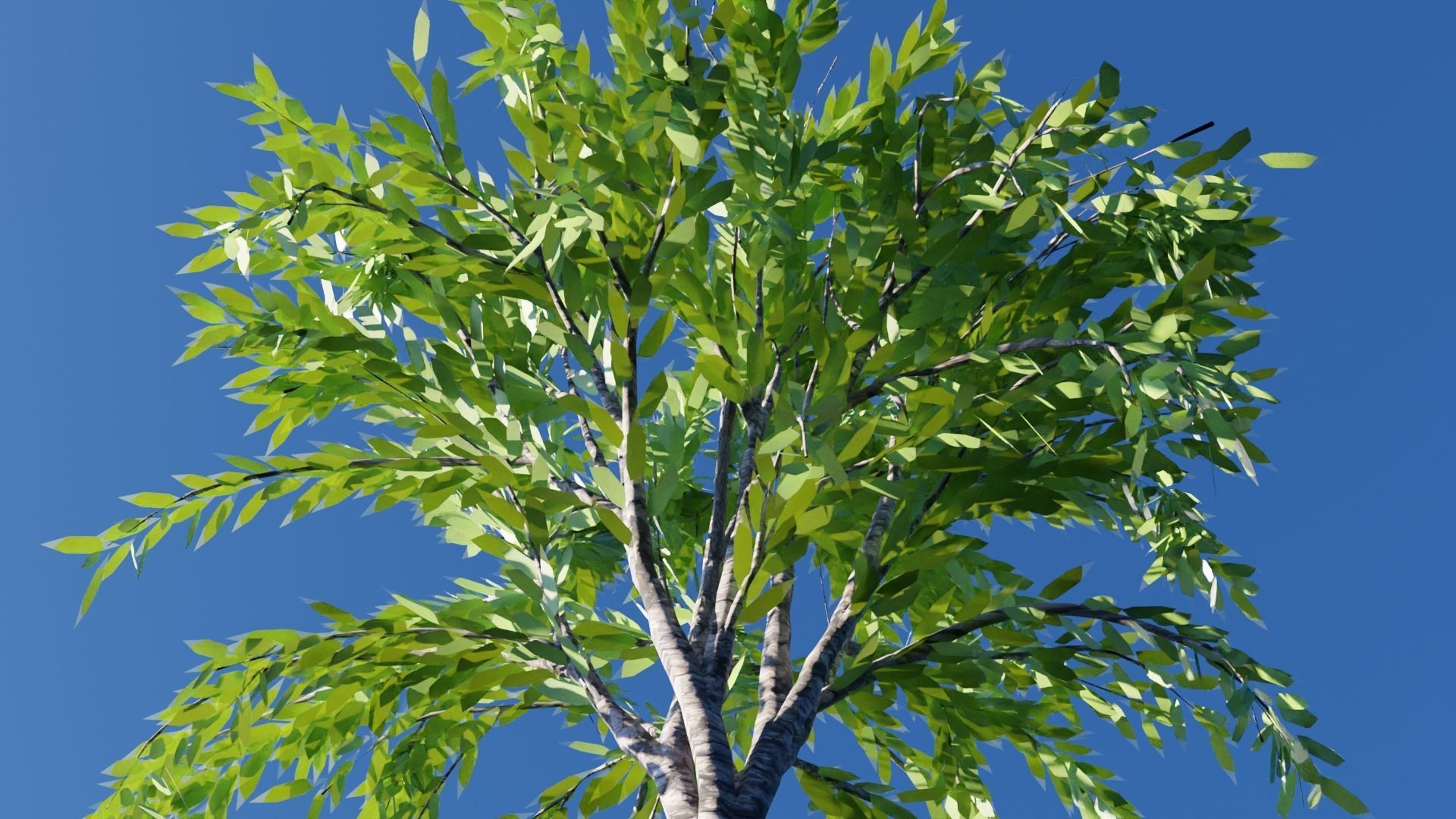 Realistic Tree free VR / AR / low-poly 3D model animated rigged | CGTrader