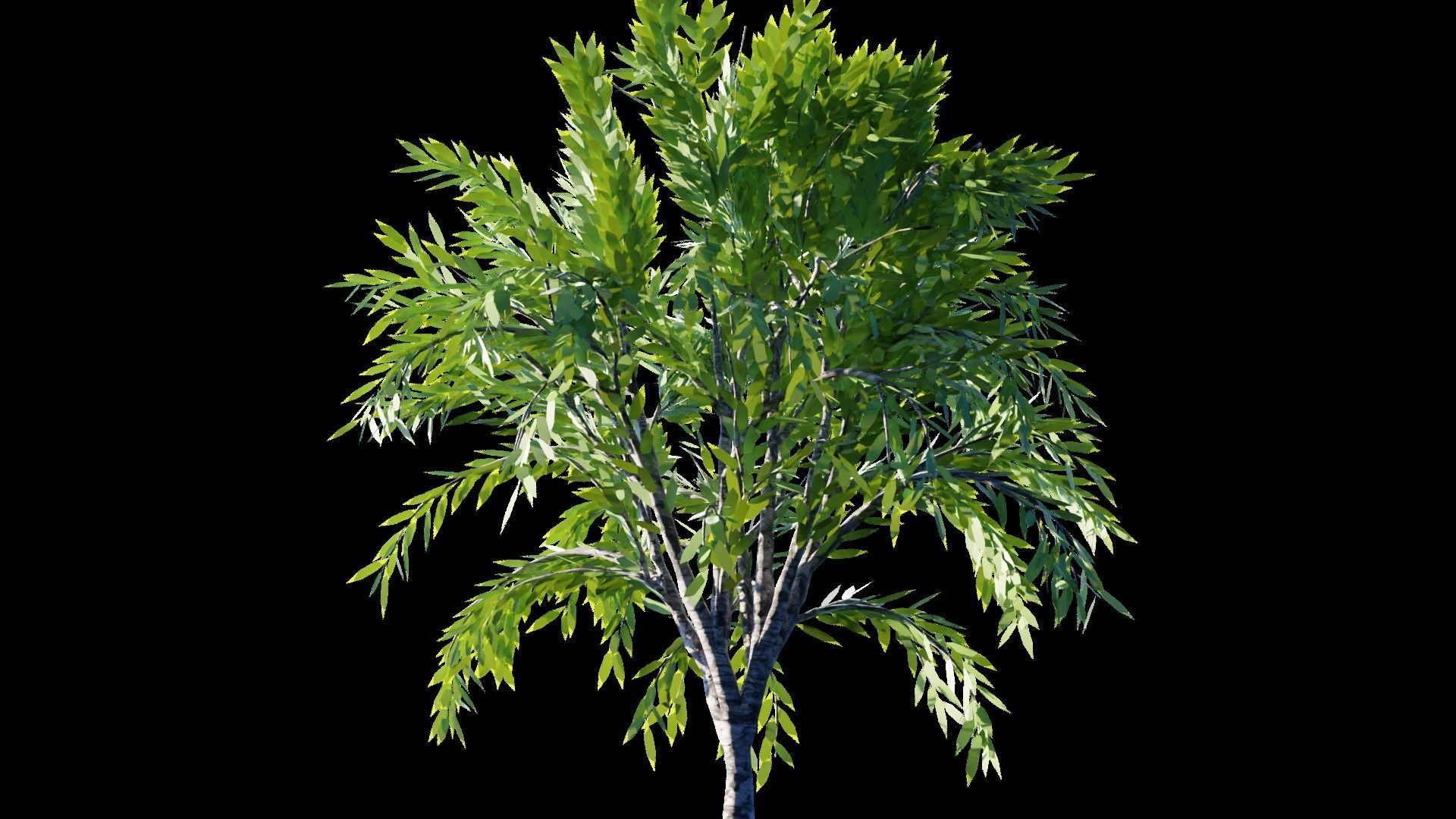 Realistic Tree free VR / AR / low-poly 3D model animated rigged | CGTrader