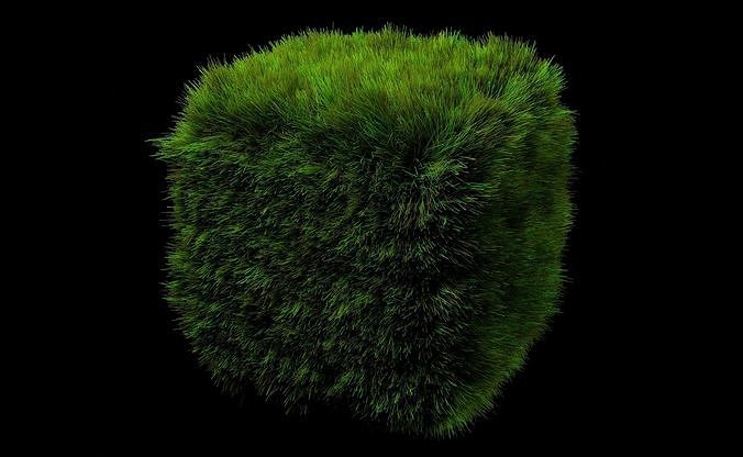3D grass animation realistic wind simulation dynamic 3D model animated ...