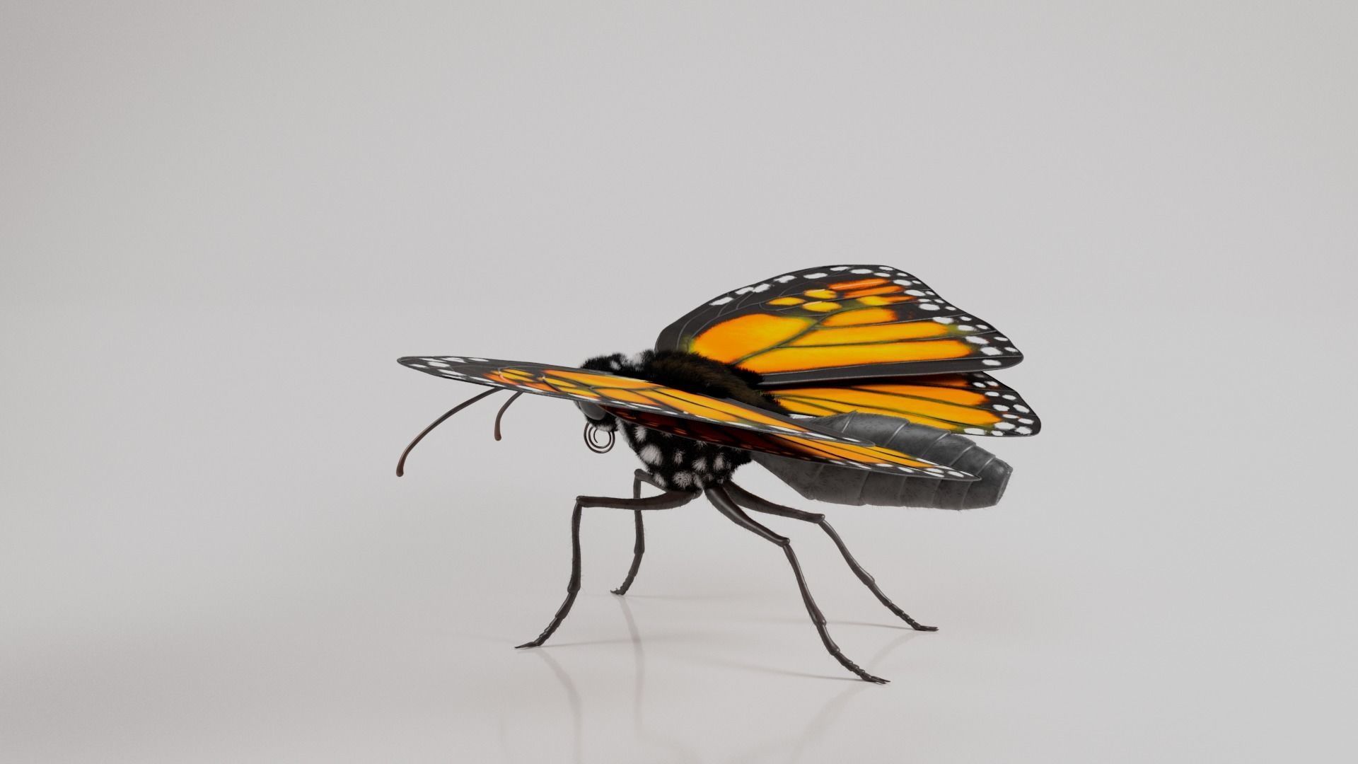 Ultimate Realistic Monarch Butterfly 3D model | CGTrader