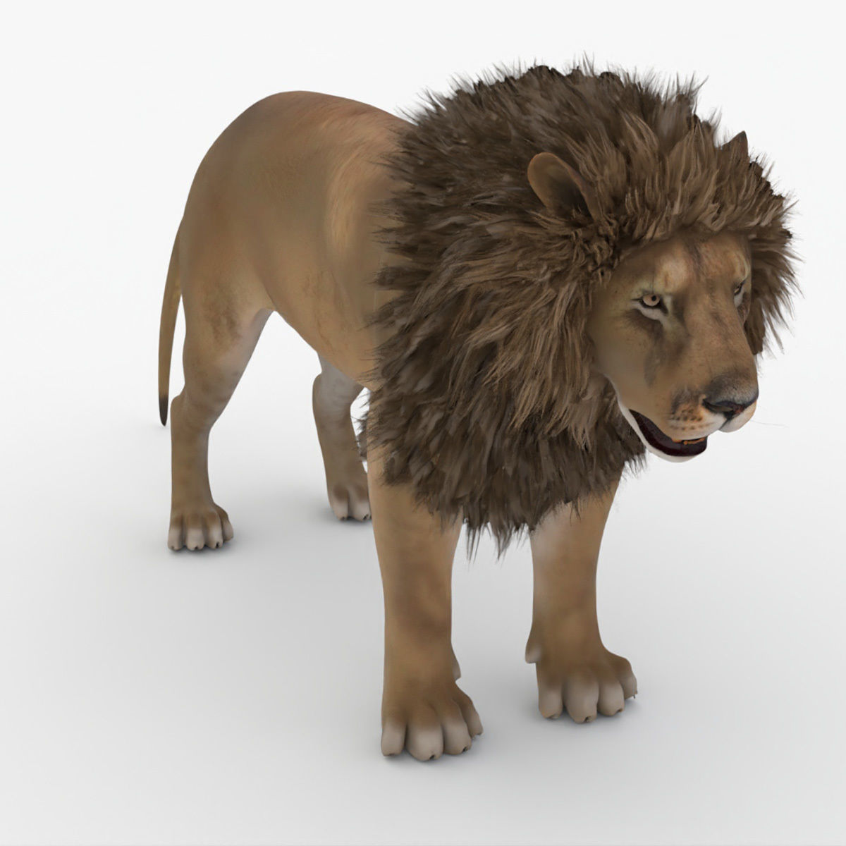 Realistic Scan Lion 3D model | CGTrader