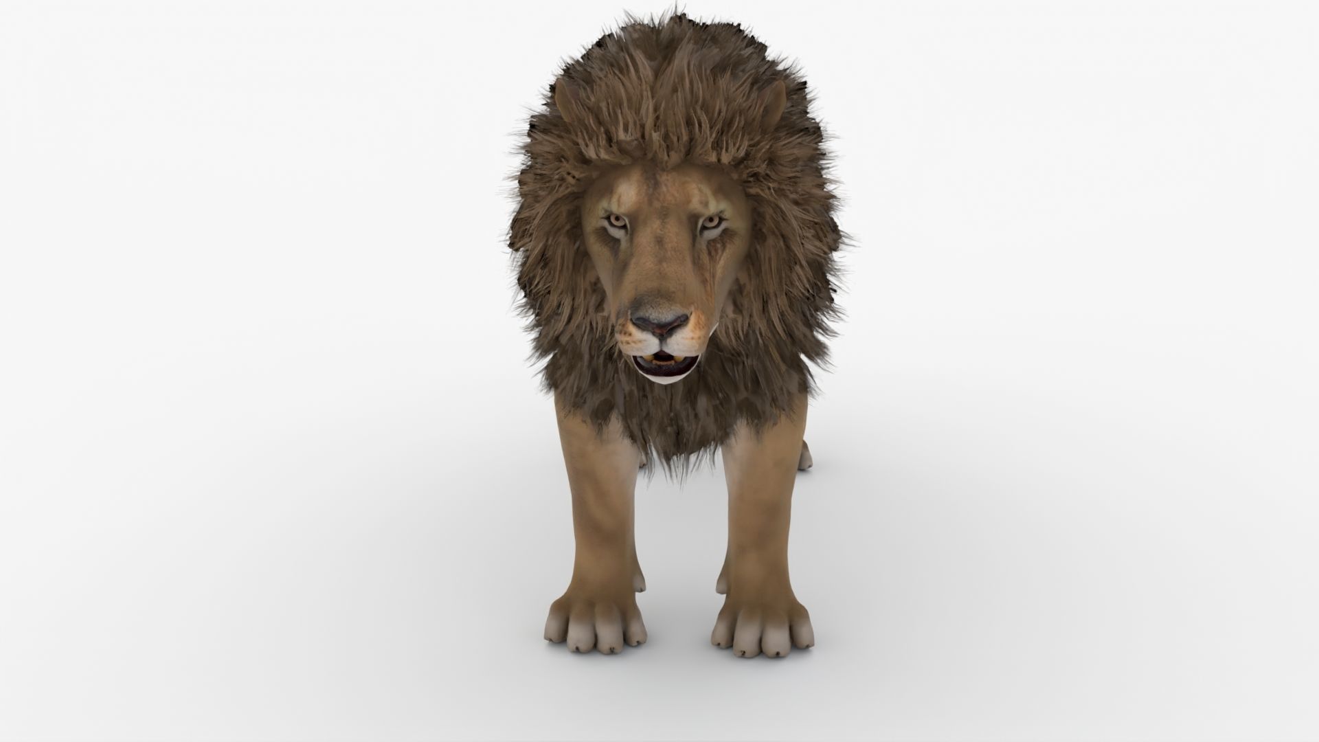 Realistic Scan Lion 3D model | CGTrader