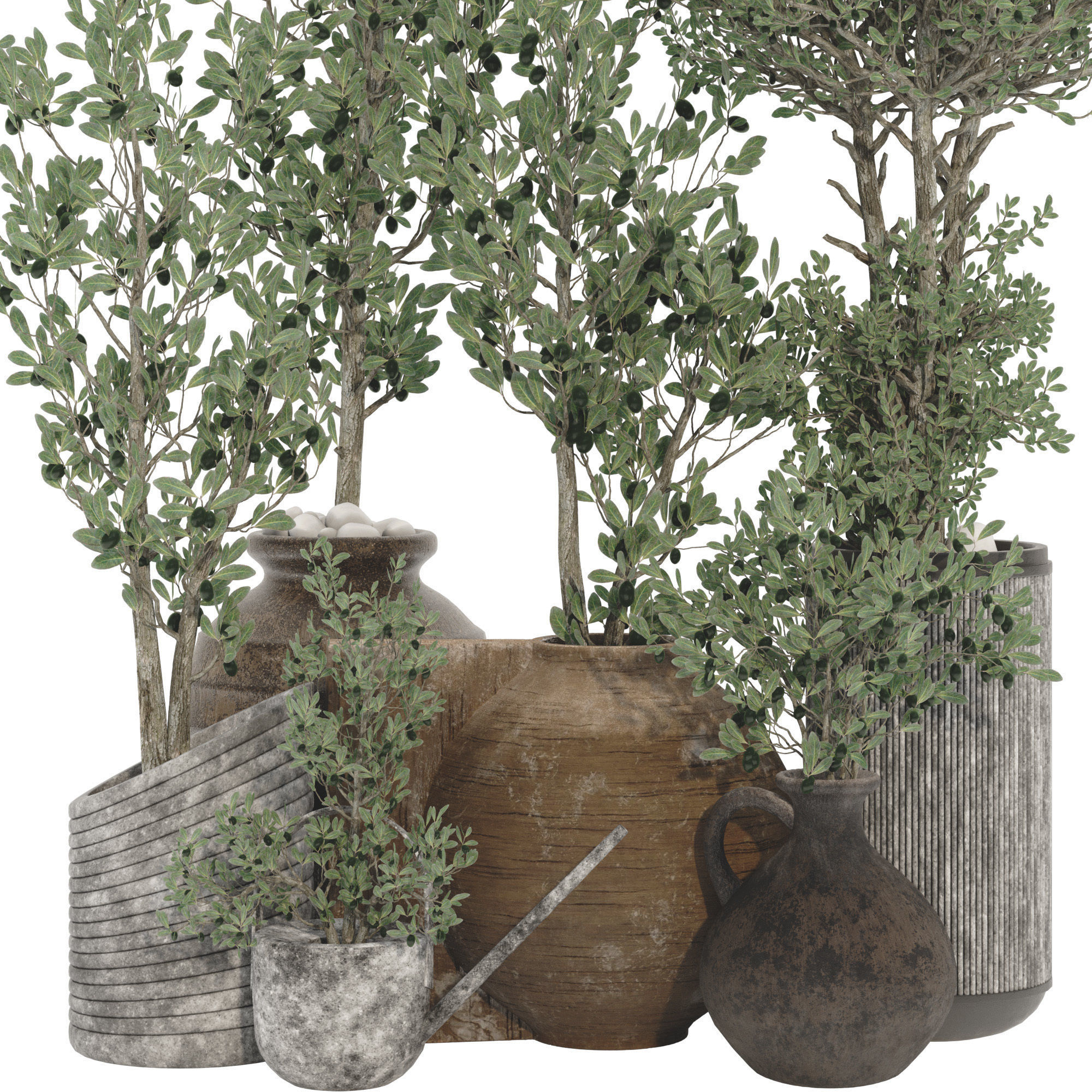 Decorative olive tree in pot 106 3D model | CGTrader