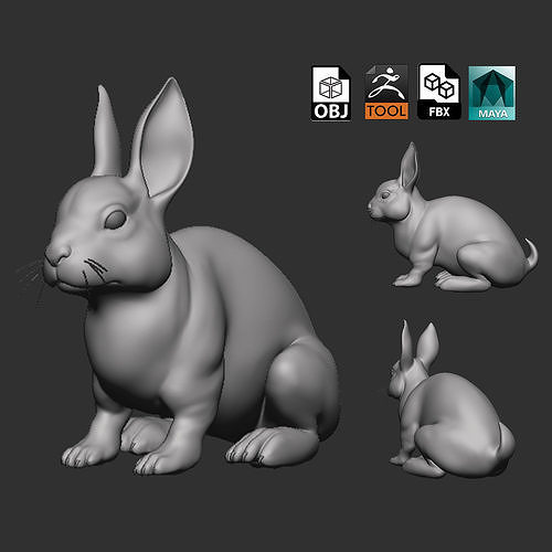 Rabbit 3D model | CGTrader