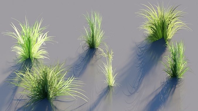 3D model Low Poly Grass pack - 3D Model VR / AR / low-poly | CGTrader