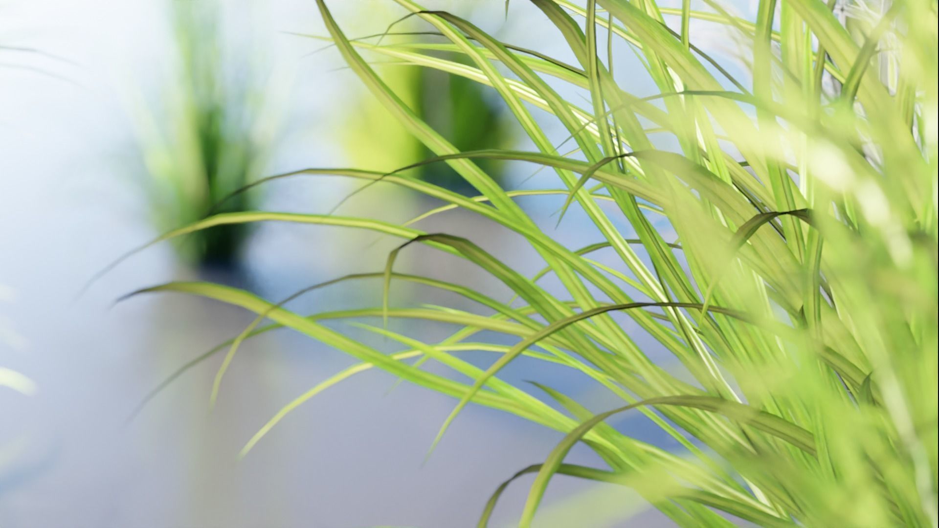 3D model Low Poly Grass pack - 3D Model VR / AR / low-poly | CGTrader