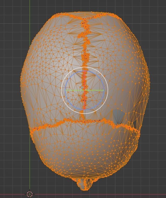 3D Model of Skull Bones 3D model 3D printable | CGTrader