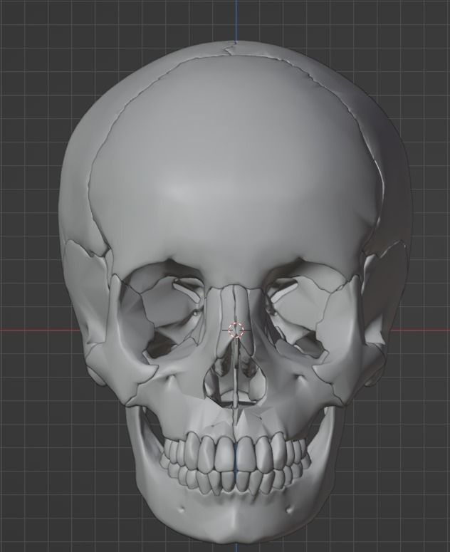 3D Model of Skull Bones 3D model 3D printable | CGTrader