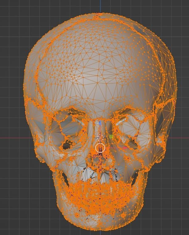 3D Model of Skull Bones 3D model 3D printable | CGTrader
