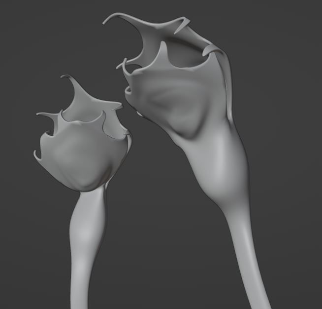carnivorous flower Drosera 3D model | CGTrader