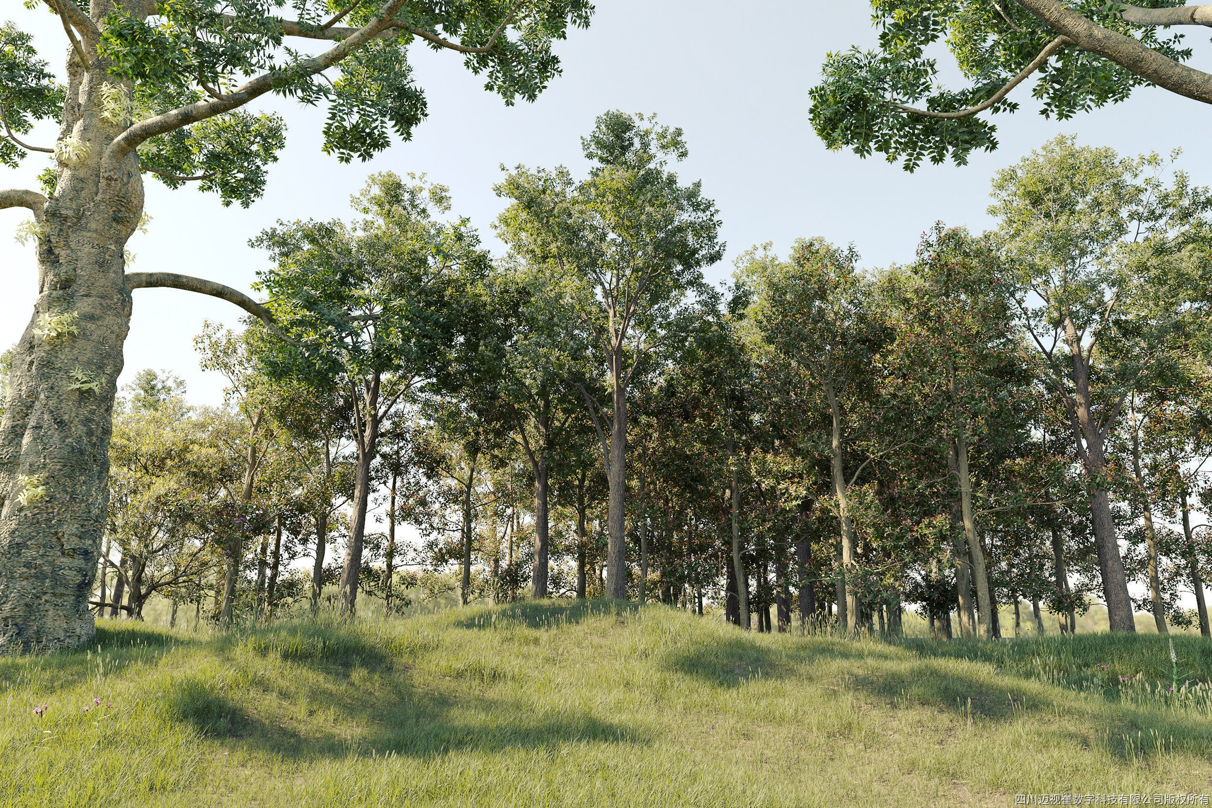 Maxtree Plant Models Vol 121 - Mesh 3D model | CGTrader