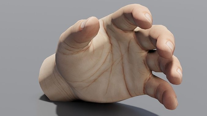 3D model Human hand 3D model VR / AR / low-poly | CGTrader