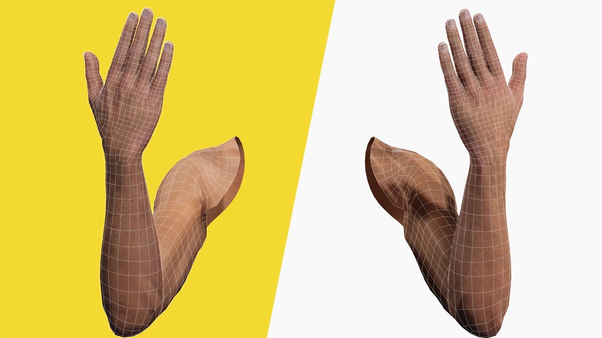 3D model VR 4K Realistic Hands Multi-Skins Colors Rigged HQ VR / AR ...