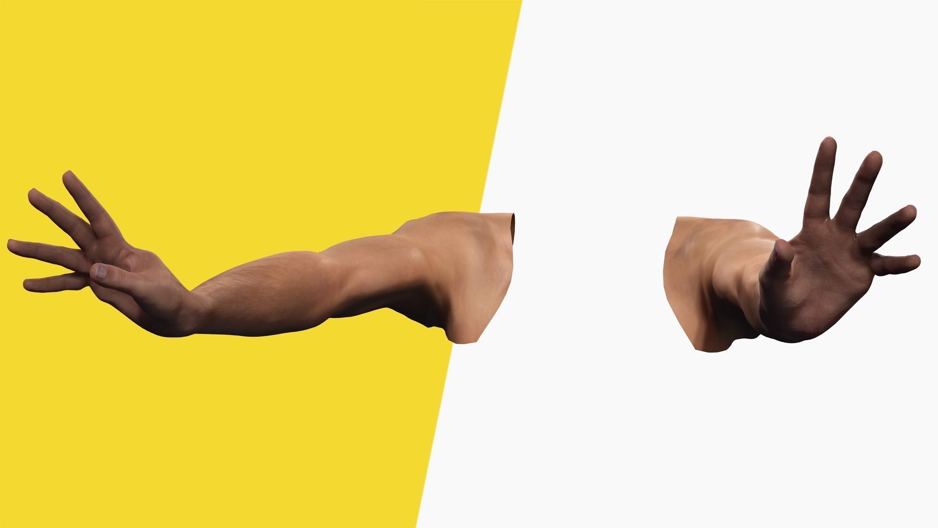 3D model VR 4K Realistic Hands Multi-Skins Colors Rigged HQ VR / AR ...