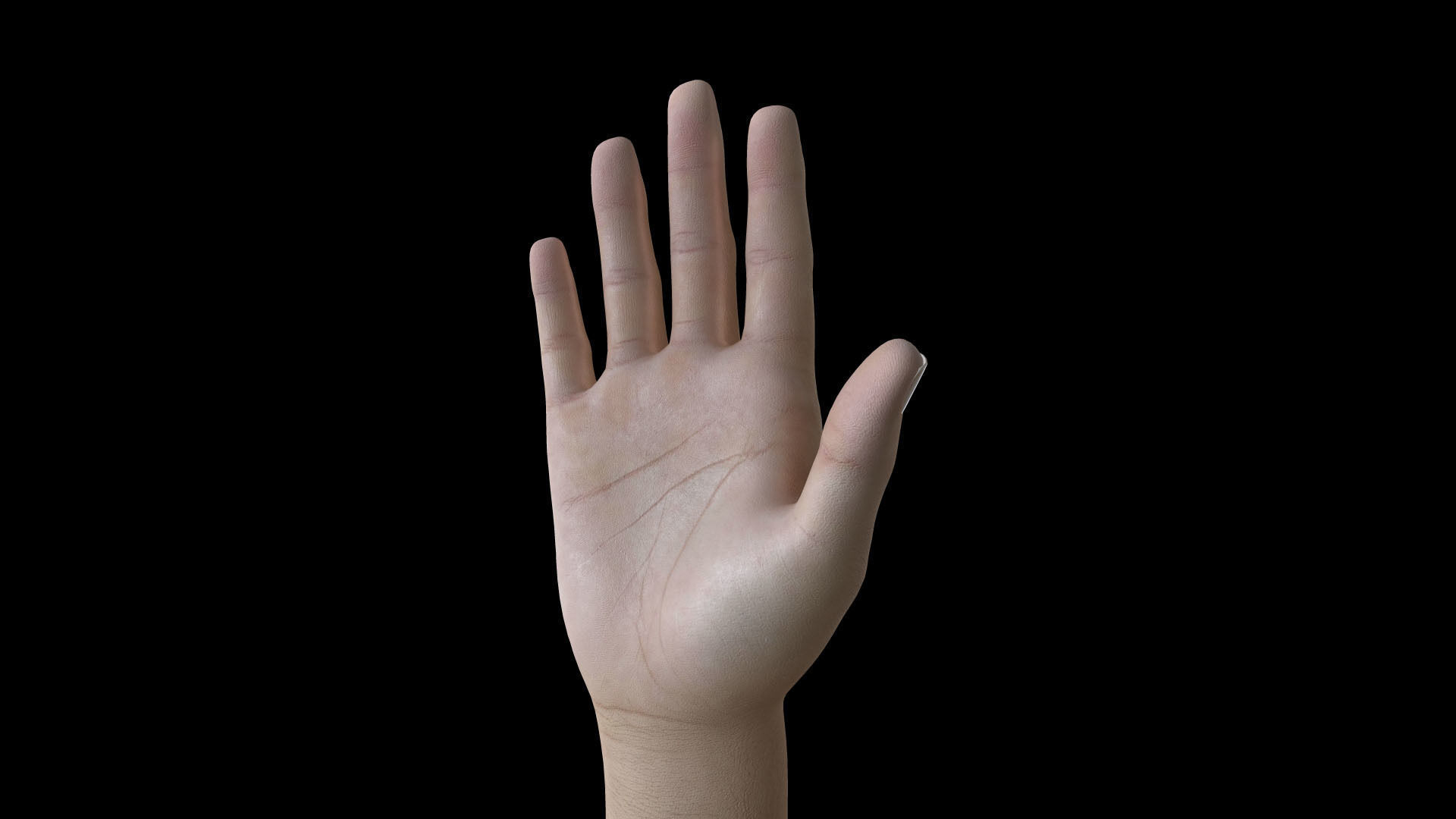 HAND007 Rigged Right Hand 3D model rigged | CGTrader