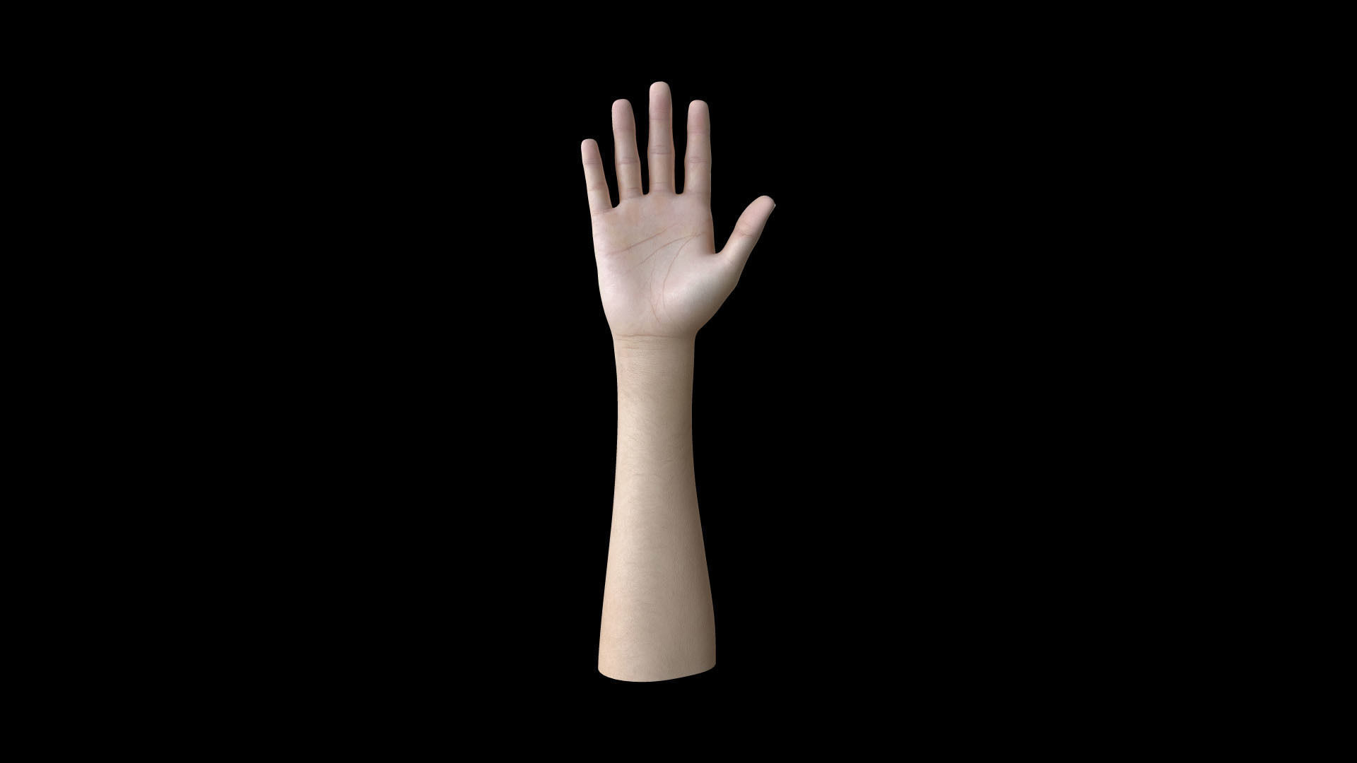 HAND007 Rigged Right Hand 3D model rigged | CGTrader