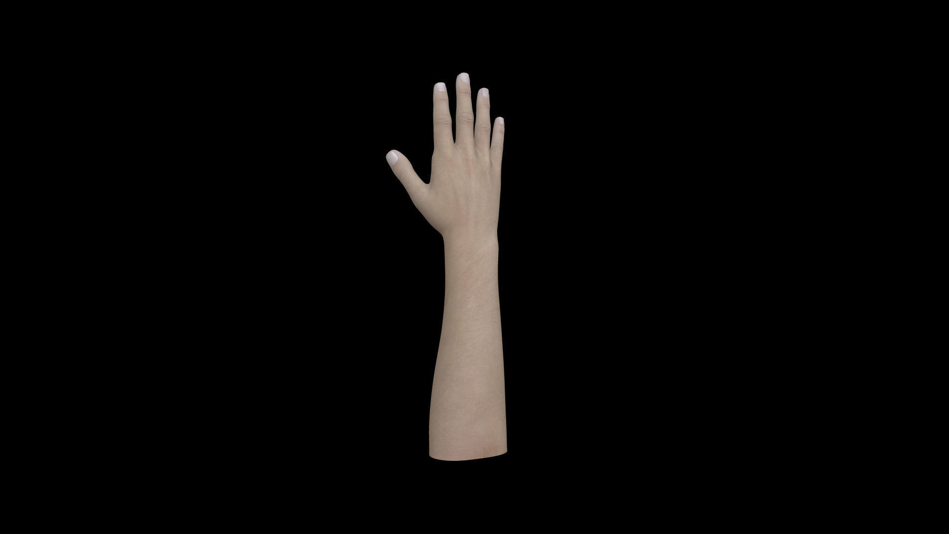 HAND08 Rigged Right Hand 3D model rigged | CGTrader