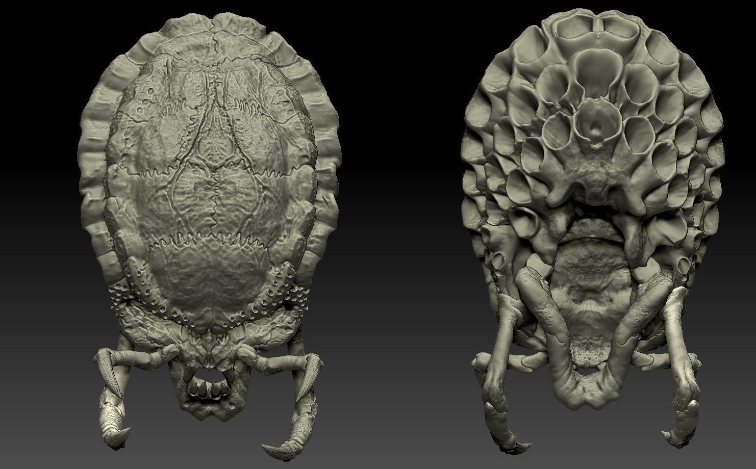 predator skull yautja prey 3D model 3D printable | CGTrader