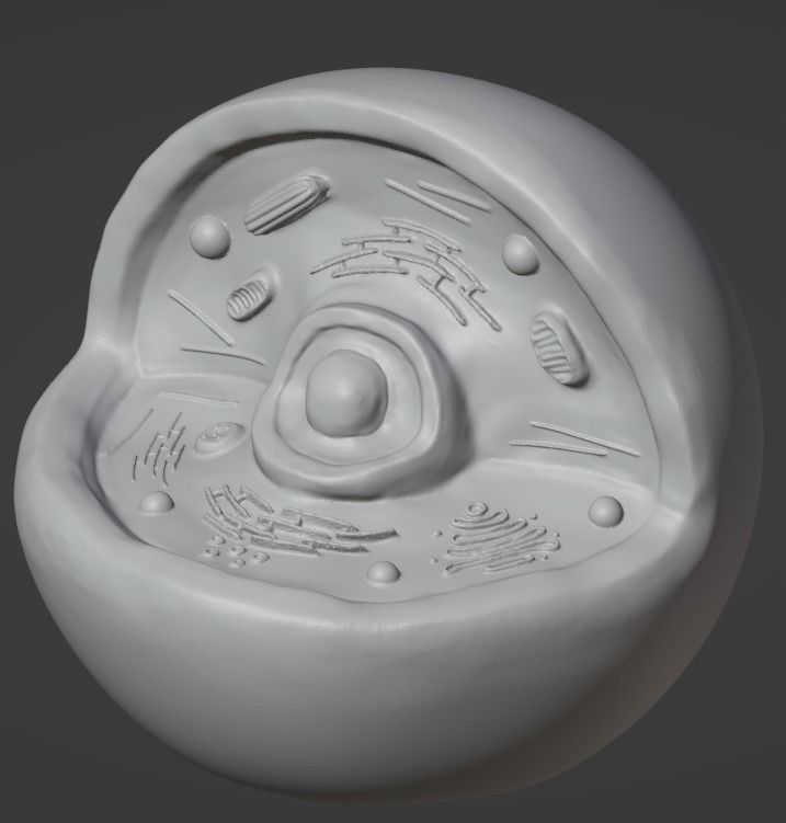 Animal cell 3D model 3D printable | CGTrader