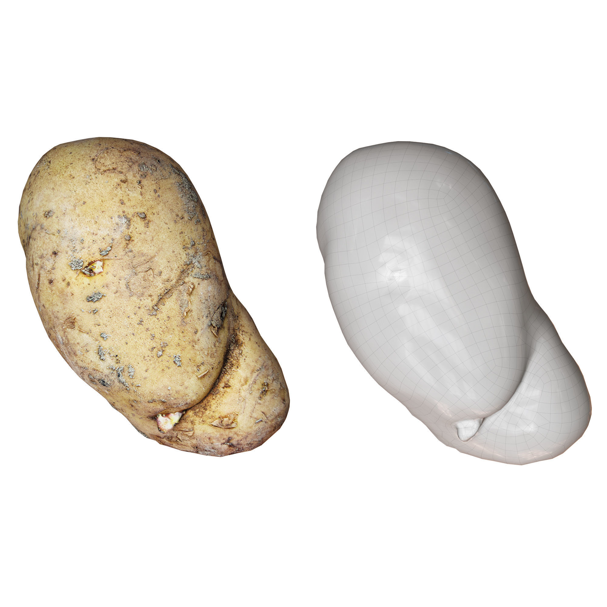 3D model 4 Realistic Potato VR / AR / low-poly | CGTrader