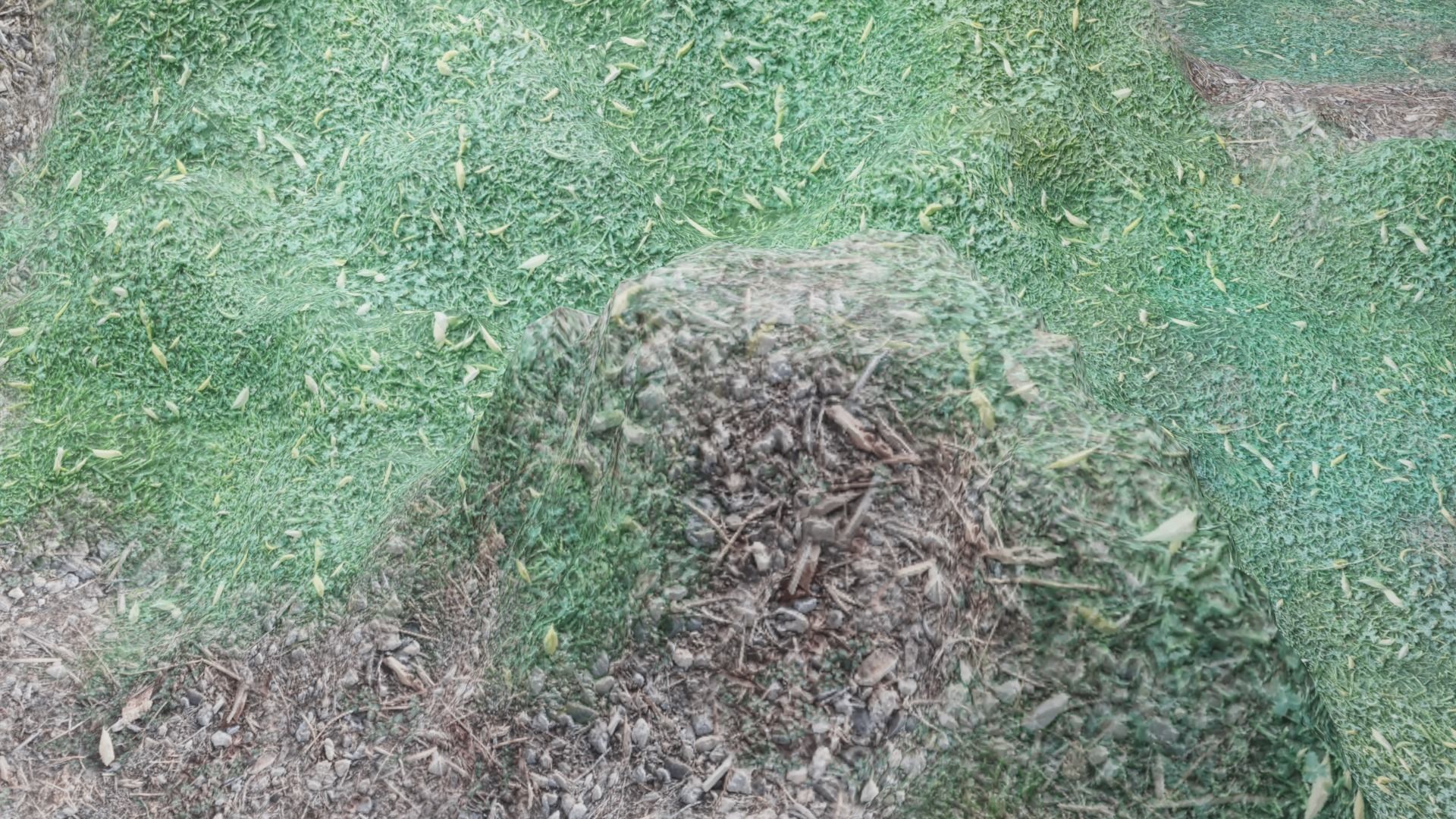 3D model Grass Rock Landscape VR / AR / low-poly | CGTrader