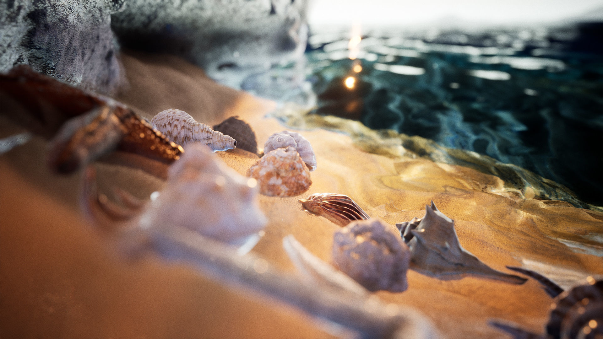 3D model Sea Shells 24 Assets VR / AR / low-poly | CGTrader