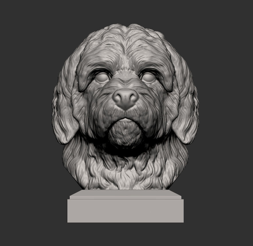 GoldenDoodle bust 3D model 3D printable | CGTrader