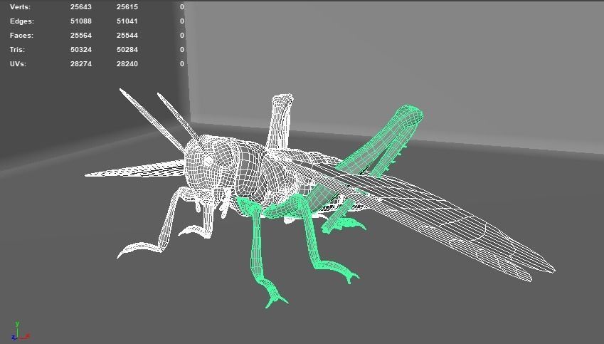 3D model 4 Type of insects VR / AR / low-poly | CGTrader