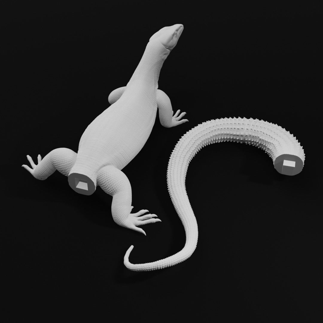Ackie Monitor - Spiny Tailed Monitor - Lizard Reptile 3D Print 3D model ...