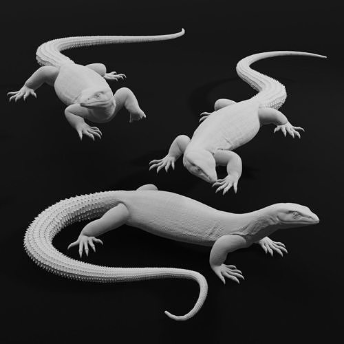 Ackie Monitor - Spiny Tailed Monitor - Lizard Reptile 3D Print 3D model ...