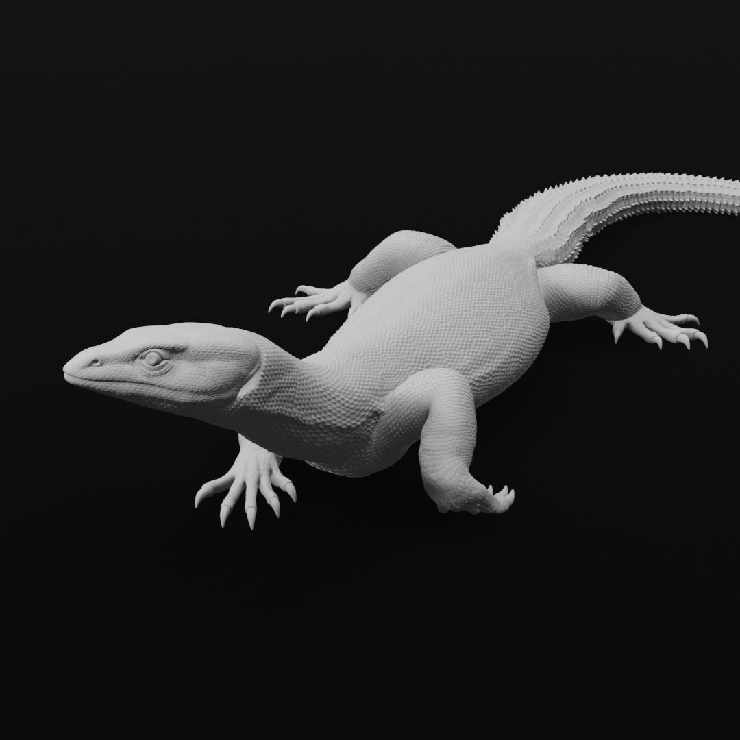 Ackie Monitor - Spiny Tailed Monitor - Lizard Reptile 3D Print 3D model ...