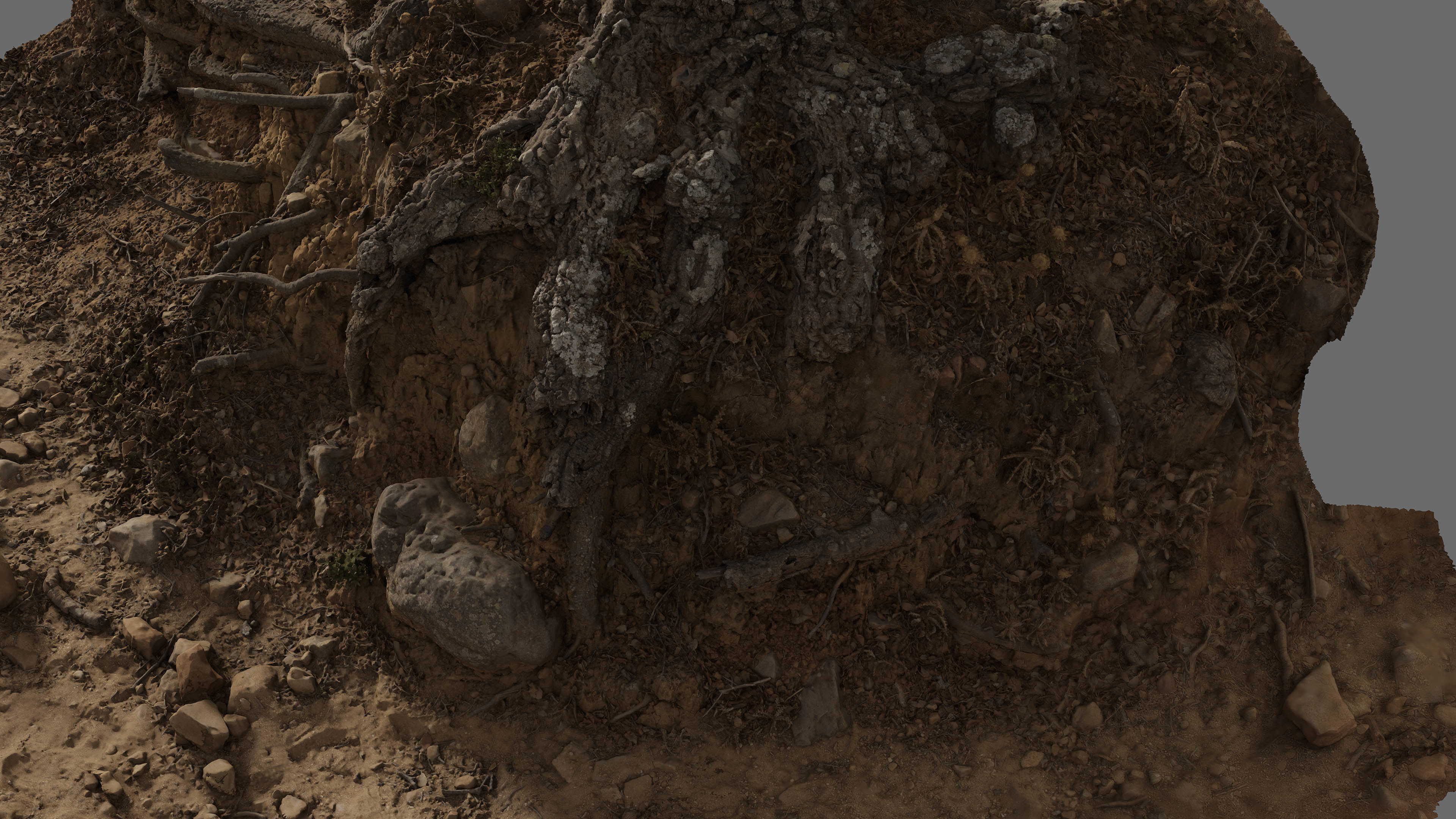 oakpine 3D model | CGTrader