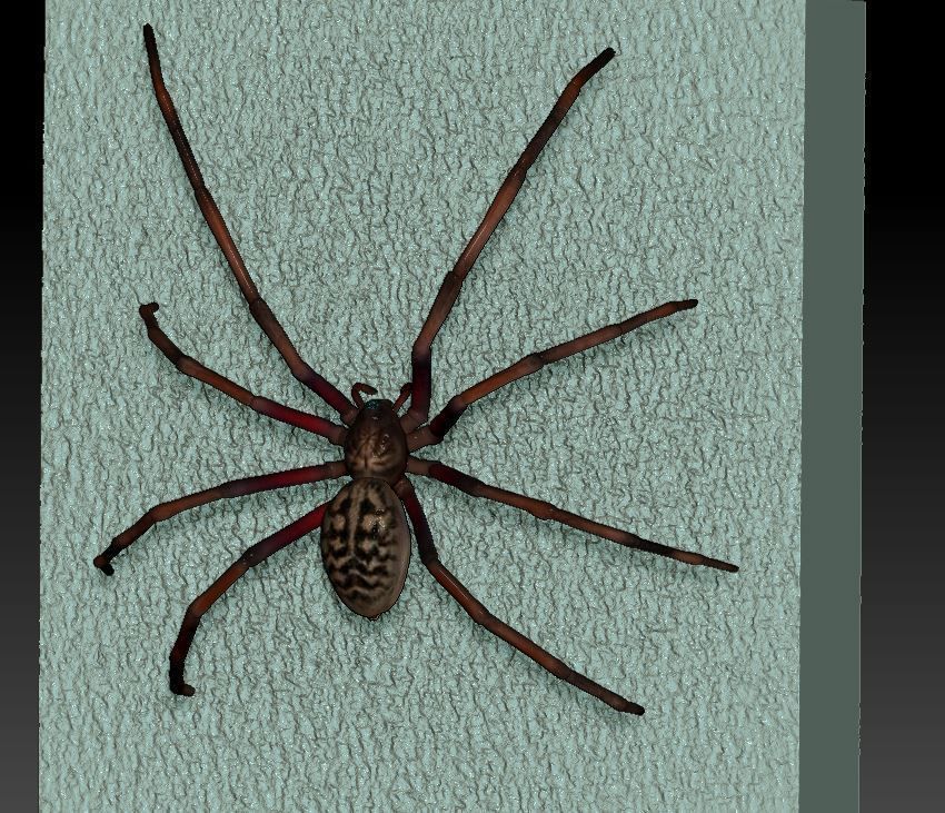 spider 3D model 3D printable | CGTrader