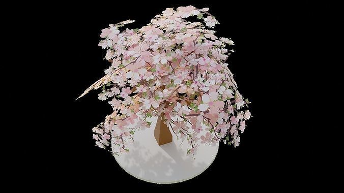 3D model Cherry Blossom tree VR / AR / low-poly | CGTrader