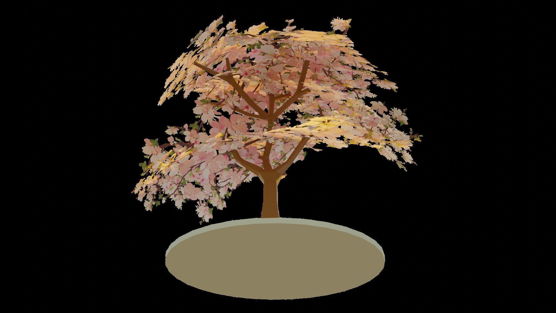 3D model Cherry Blossom tree VR / AR / low-poly | CGTrader