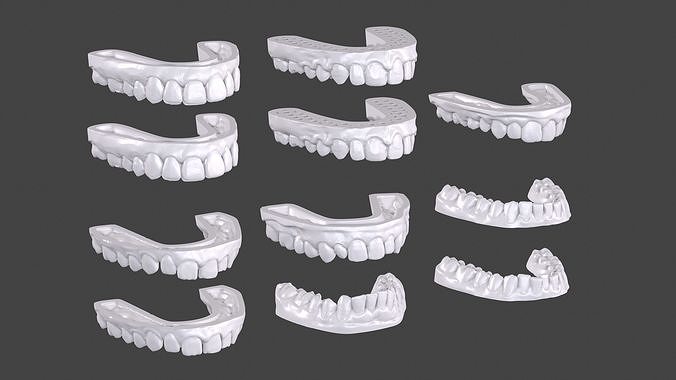 Dental Anatomy 11 Models Real Scanned Medical Case mouthes 3D model 3D ...