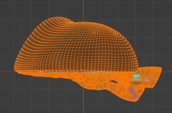 3D Model of Human Kidney cross section 3D model | CGTrader