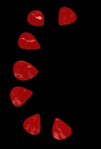 3D Model of Human Kidney cross section 3D model | CGTrader