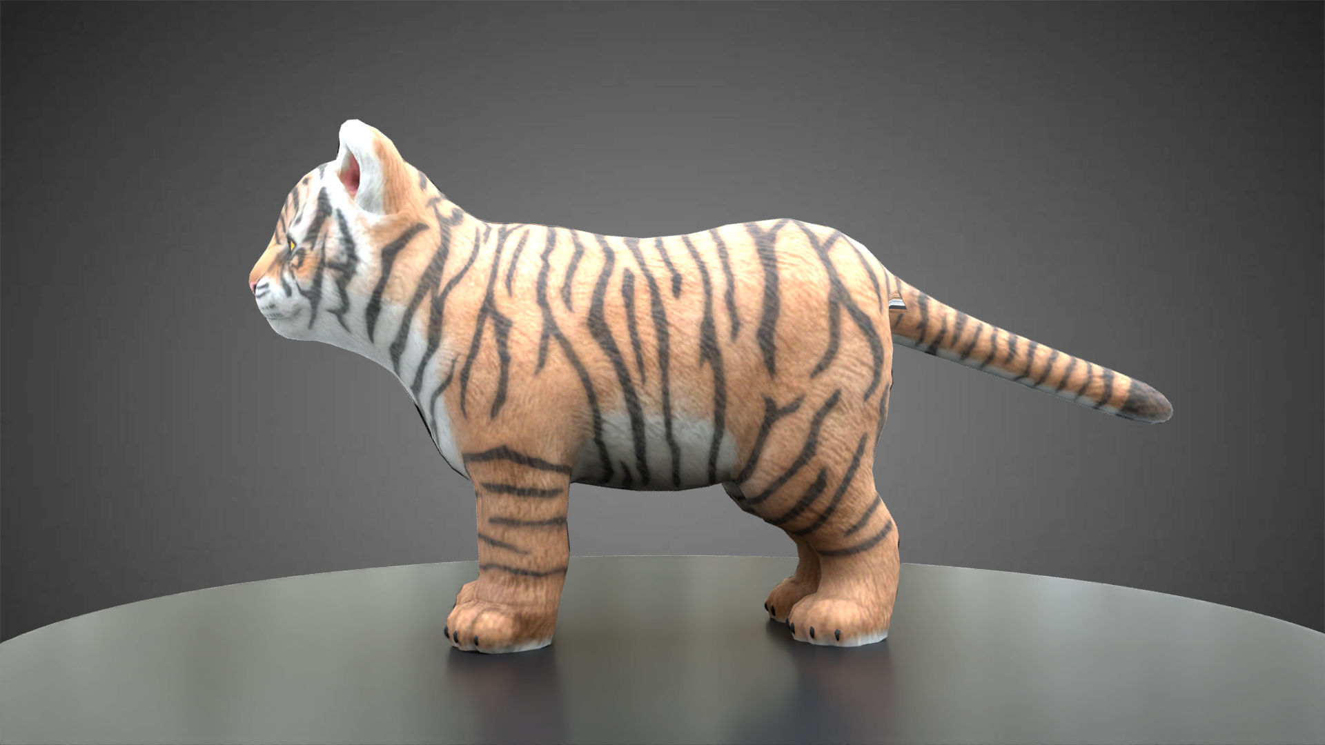 3D model Tiger Kid Cub VR / AR / low-poly | CGTrader