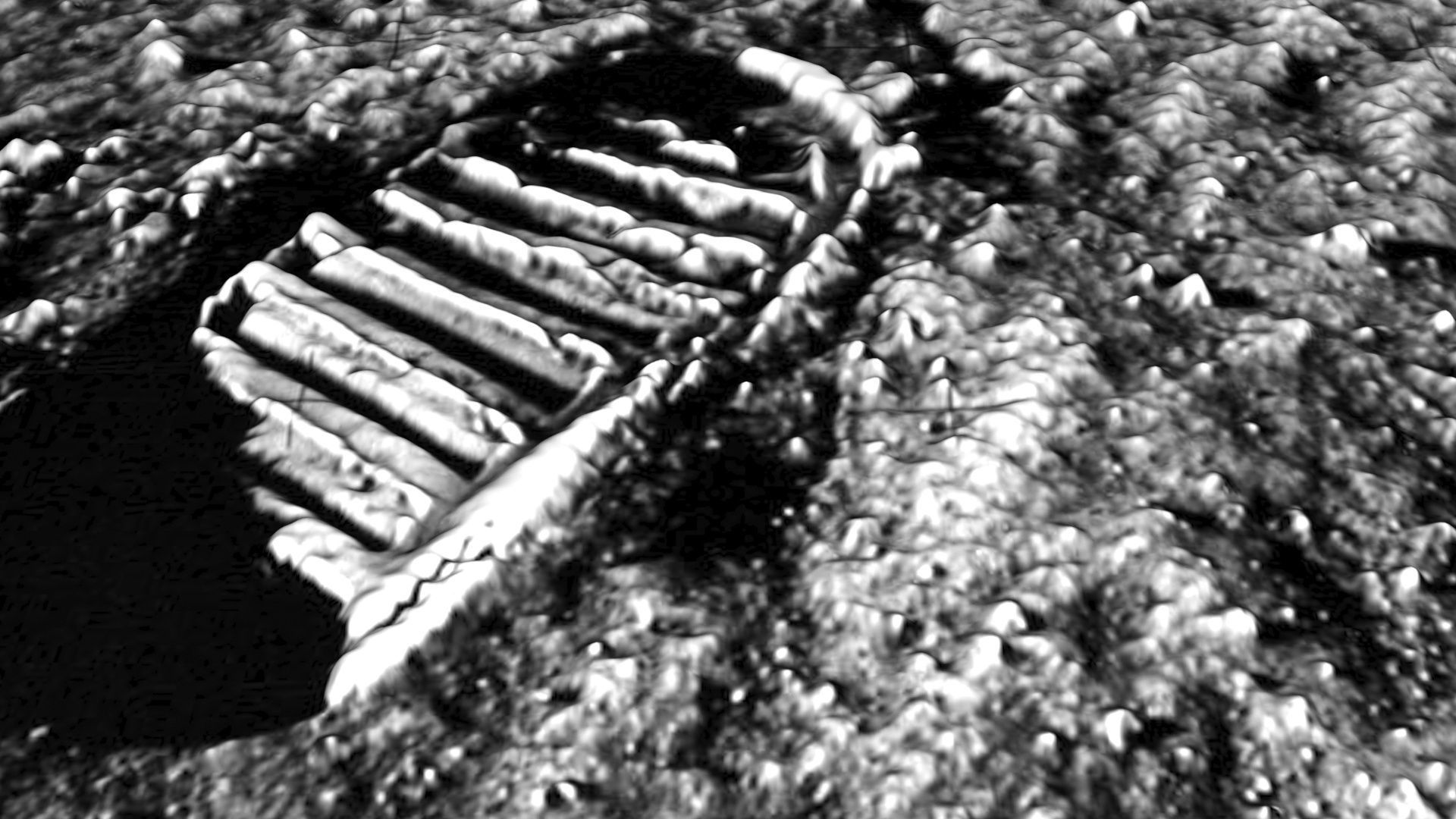 Astronauts First Footprint On The Moon 3D model | CGTrader