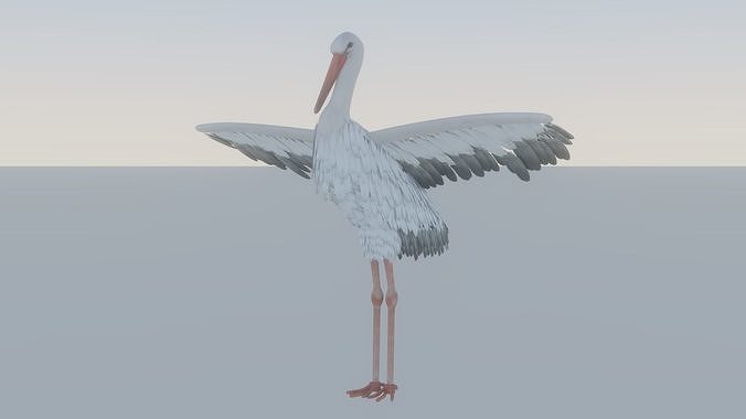 3D model Stork VR / AR / low-poly | CGTrader