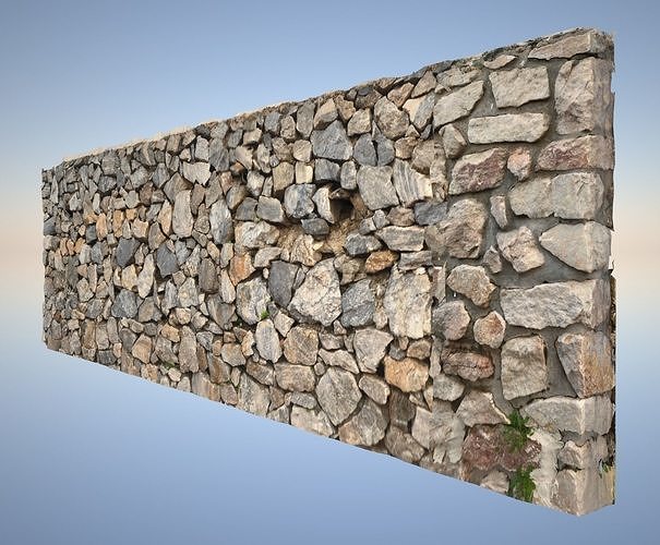 StoneWallLidar free 3D model | CGTrader