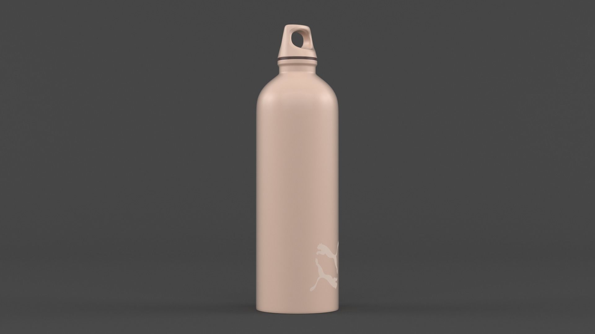 Water Bottle 3D model | CGTrader