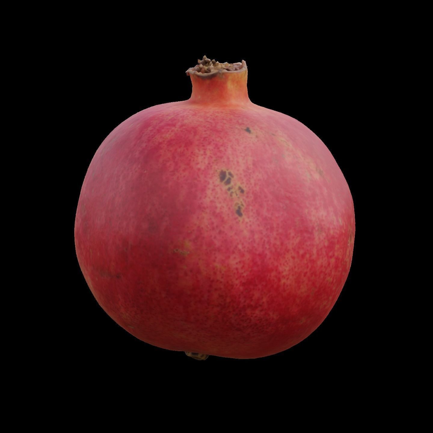 3d Model Pomegranate 1 Vr Ar Low Poly Cgtrader