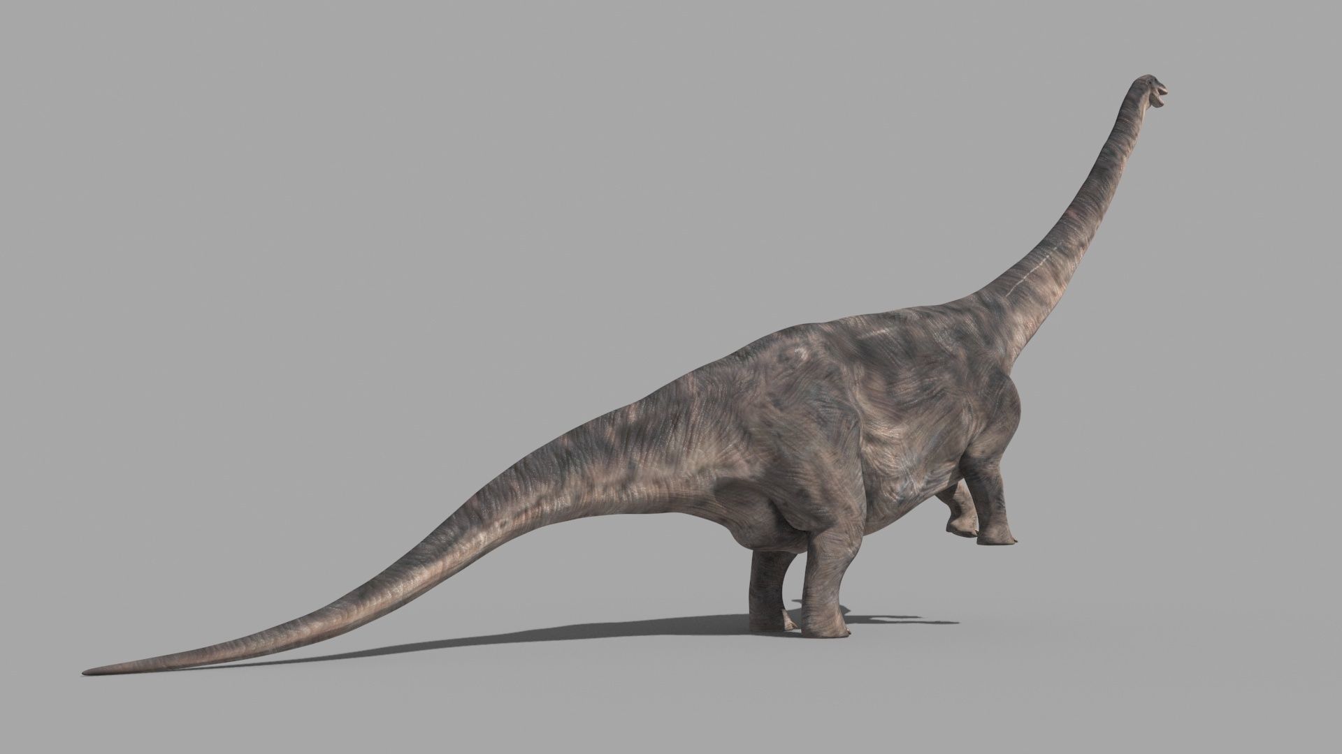 Apatosaur Forever - 8K 3D model animated rigged | CGTrader