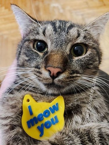 I meow you Keychain free 3D model 3D printable | CGTrader