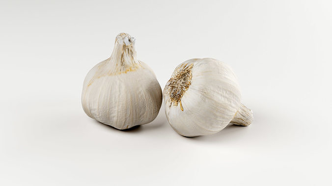 3D model Garlic Bulb - 3D Scan VR / AR / low-poly | CGTrader