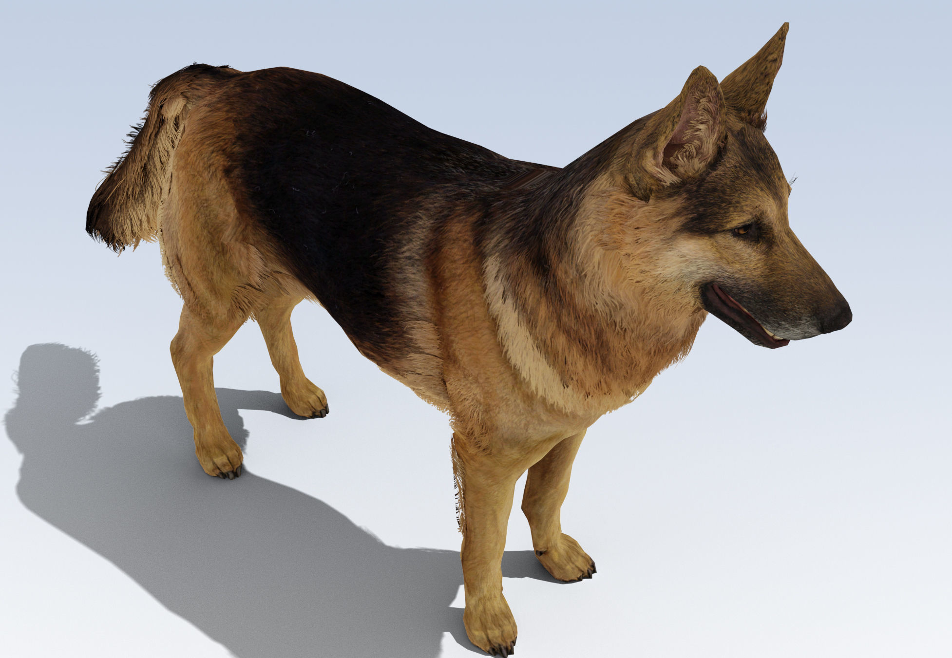 3D model German Shepherd Dog Rig VR / AR / low-poly | CGTrader
