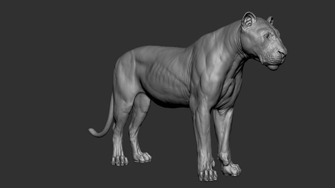 3d Model Lioness 3d Model Vr Ar Low Poly Cgtrader